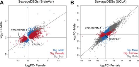 Sex Differential Gene Expression In Developing Human Cortex And Its