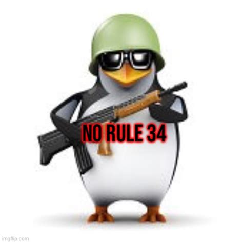 No Rule 34 Penguin Imgflip