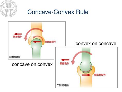 PPT Peripheral Joint Mobilization Shoulder Joints PowerPoint Presentation ID