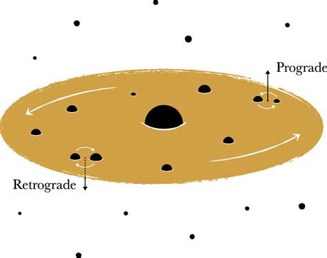 Prograde Vs Retrograde Binaries Single Bhs In An Agn Disk That Are