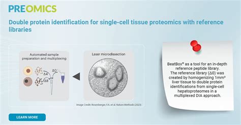 Scdvp Proteomics Lcms Massspec Tissueprep Samplepreparation Singlecell Hepatocytes