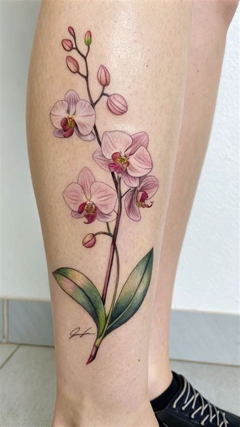 Classic Phalaenopsis Orchid Designs In 2025 Orchid Flower Tattoos