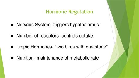 Ppt The Endocrine System Powerpoint Presentation Free Download Id