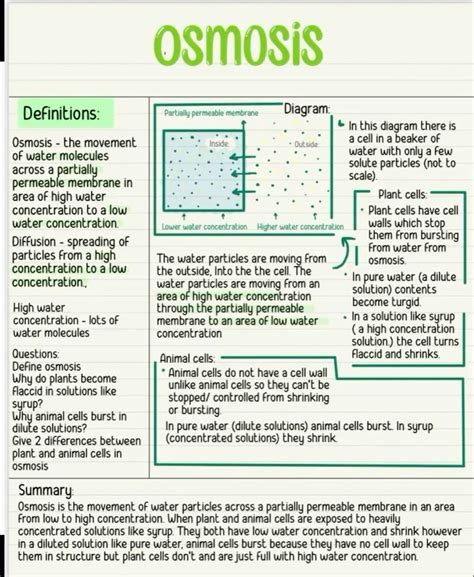 Biology Notes Artofit