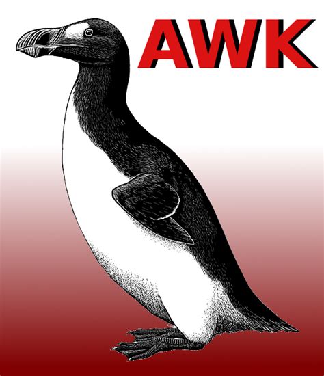 Linux Basics Awk Hostafrica