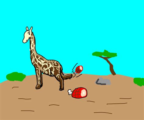 giraffes kicking