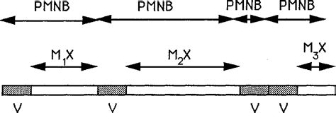 Figure 1 From Dynamic Broadcasting In Parallel Computing Semantic Scholar