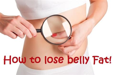 Foods To Reduce Belly Fat