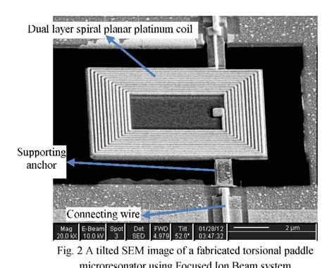 Laminectomy For Implantation Of Neurostimulator Electrodes Plate Paddle Epidural Semantic