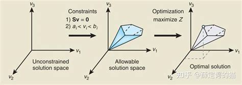 何为通量平衡分析fba 知乎