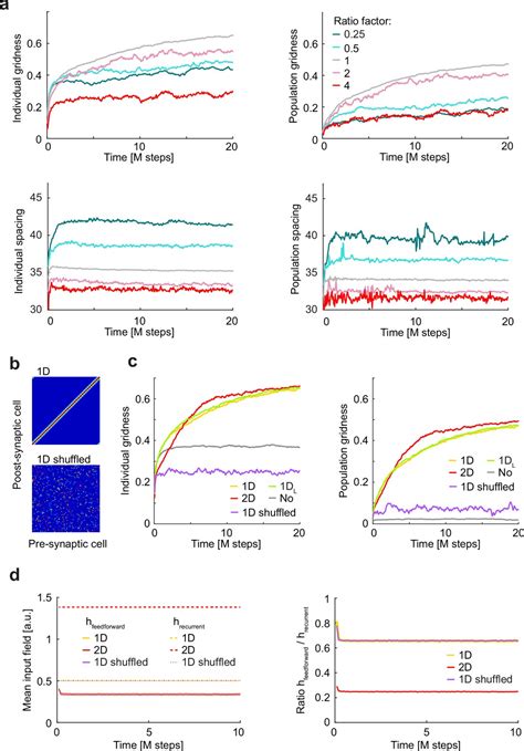 Figures And Data In Modeled Grid Cells Aligned By A Flexible Attractor Elife