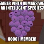 Member Berries Meme Generator Imgflip Member Berries Meme Generator Imgflip