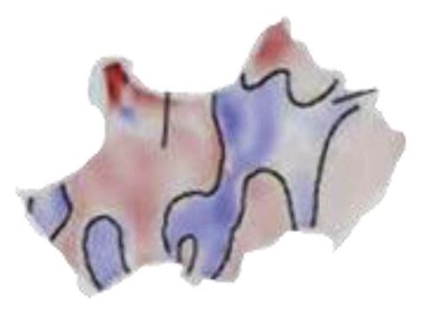 Evolutionary Optimization Effect Analysis Download Scientific Diagram