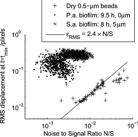 The Dependence Of Root Mean Square Rms Displacement At The Shortest