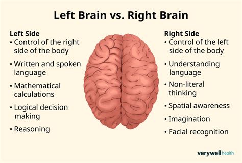 Left Brain Vs Right Brain Characteristics