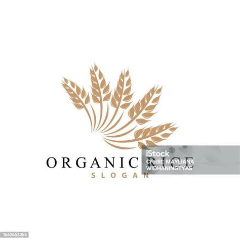 밀 곡물 쌀 로고 심플한 디자인 유기 벡터 일러스트레이션 아이콘 템플릿 개념에 대한 스톡 벡터 아트 및 기타 이미지 개념