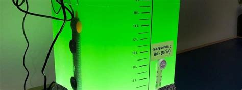 Microalgae Bioreactor The Atlas Institute 抖阴传媒在线