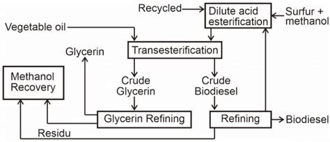 The Basic Scheme Of Biodiesel Production With Transesterification 92