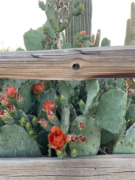 View Casey Casey P 13 Onlyfans 49 Photos And 32 Videos Gallery