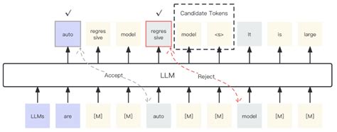 Speculative Decoding 论文阅读合订本 知乎