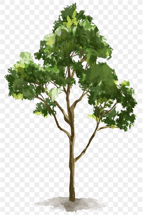 Png Tree Design Element Nature Premium PNG Sticker Rawpixel