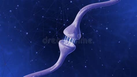 Medical Animation On Synapses And Neurotransmission Stock Illustration