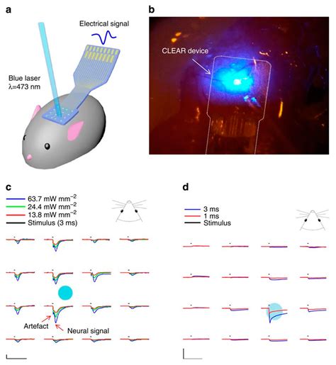Graphene Based Nanocomposites For Neural Tissue Engineering