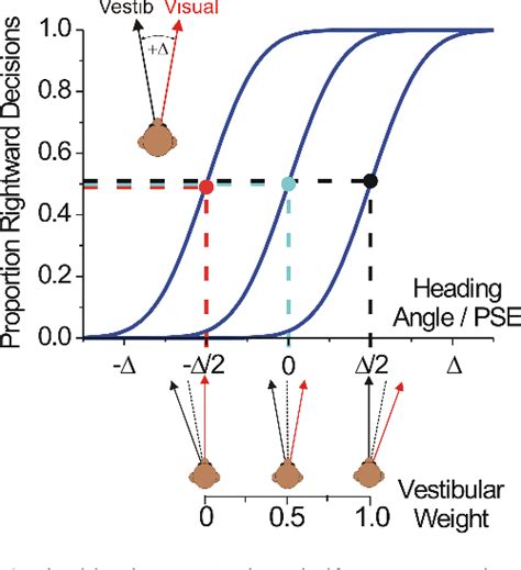 Figure 2 From Dynamic Reweighting Of Visual And Vestibular Cues During Self Motion Perception