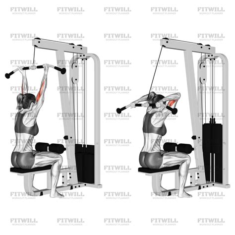 Cable Pulldown Bicep Curl Exercise Guide Techniques Benefits How To Muscles Worked Tips