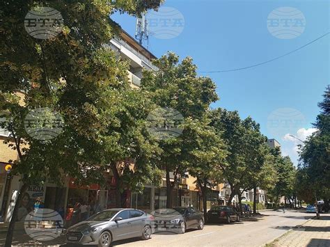 Заповед за забрана на брането на липов цвят издаде кметът на Търговище Утро