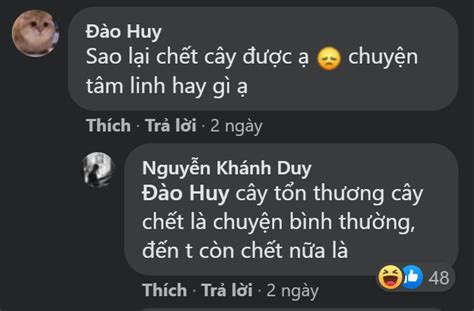 Vietnam Forest Has A Sign That Bans Sex To Protect Trees From Harm