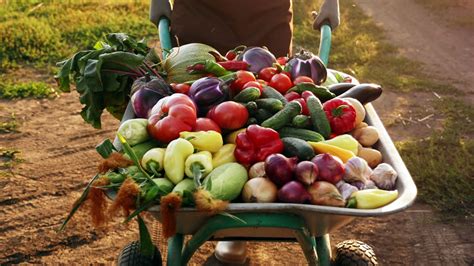 Удължава се срокът за доказване на реализираната продукция от плодове и