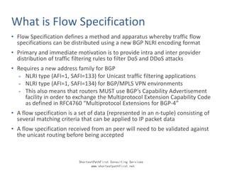 An Introduction To BGP Flow Spec PDF Computer Networking Computing