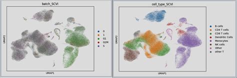 Scvi Tools 1 3 Release Scvi Tools