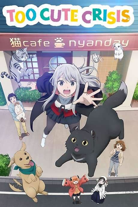 Too Cute Crisis 1000 Full Movie Summary And Plot Explained