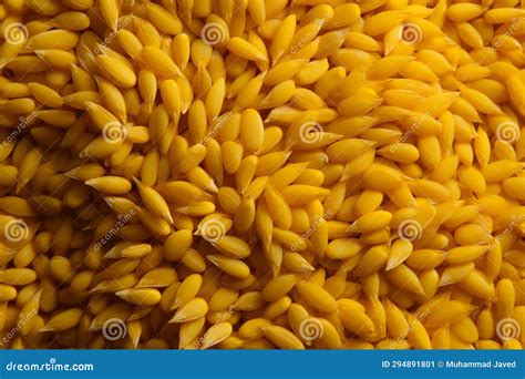 Flat View Of Wheat Berries In Yellow Hue Touched By Sliminess Stock