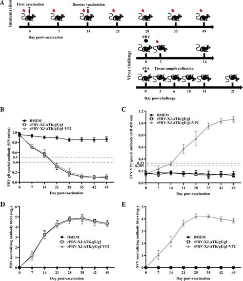The Construction And Immunogenicity Analyses Of A Recombinant Pseudorabies Virus With