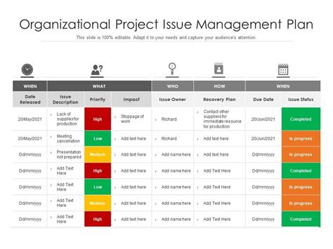 Organizational Project Issue Management Plan Presentation Graphics