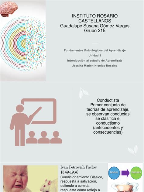 Fundamentos Psicológicos Del Aprendizaje Pdf Sicología Mente