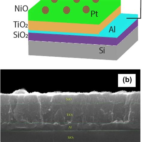 A Schematic Structure Of The Fabricated P Nio N Tio2 Heterojunction