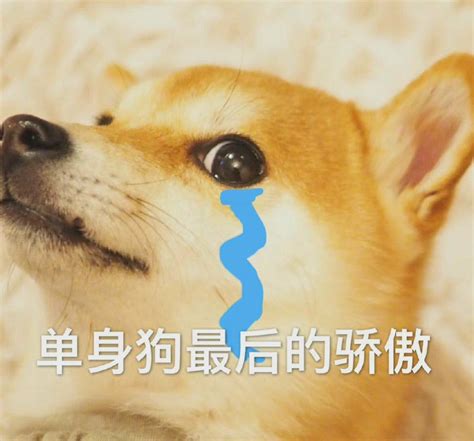 程序员是如何哄女朋友的?用python将女朋友的照片做成壁纸软件,实现桌面壁纸自动更换python哄女朋友 Csdn博客 程序员是如何哄女朋友的?用python将女朋友的照片做成壁纸软件,实现桌面壁纸自动更换python哄女朋友 Csdn博客