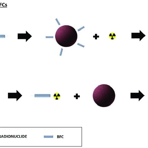 Different Approaches To Radiolabel Nps Using Bfcs Download