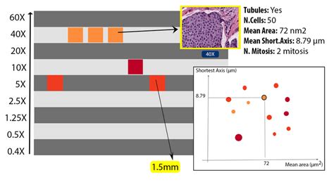 A Moving The Mouse On A Line Chart Dot Requires Accuracy And Download Scientific Diagram