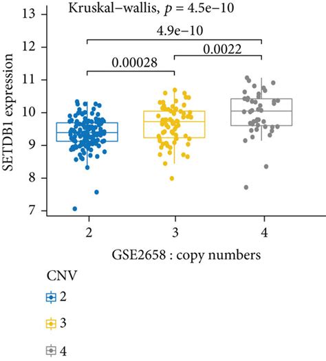 Different Expression Patterns Of Setdb1 In Multiple Myeloma A Setdb1