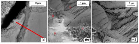 Transverse Section Of Crack Tip In Simo18al Ductile Iron Short Download Scientific Diagram