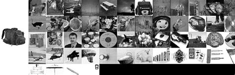 Resulted Retrieved Images Based On The Infogan Image Retrieval System