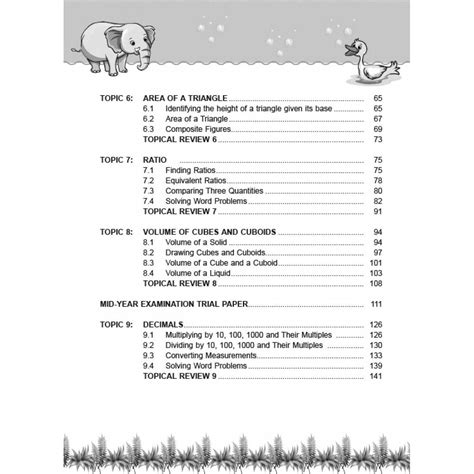 Lesson By Lesson Maths Primary 5