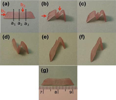 Future Prospects Shape Memory Features In Shape Memory Polymers And Their Corresponding