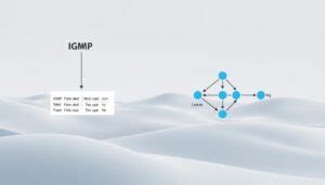 IGMP Managing Multicast Groups