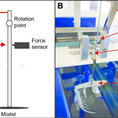 Drag Was Measured Experimentally Using Physical Models Placed In A Download Scientific Diagram